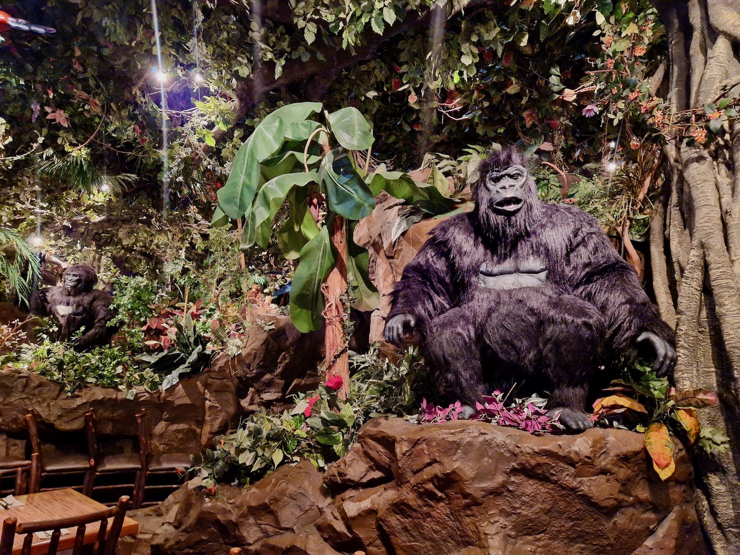 Family fun and fantastic Food: Rainforest Cafe at Disney Springs